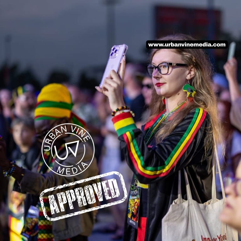 What It Really Takes to Build a Festival: From Barefoot to Backline ...